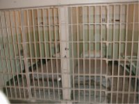 Alkatraz Island San Francisco Prison Cell Tour