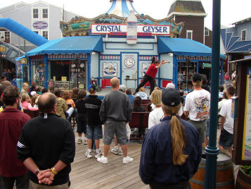 Pier 39 San Francisco Activities Including Sea Lions